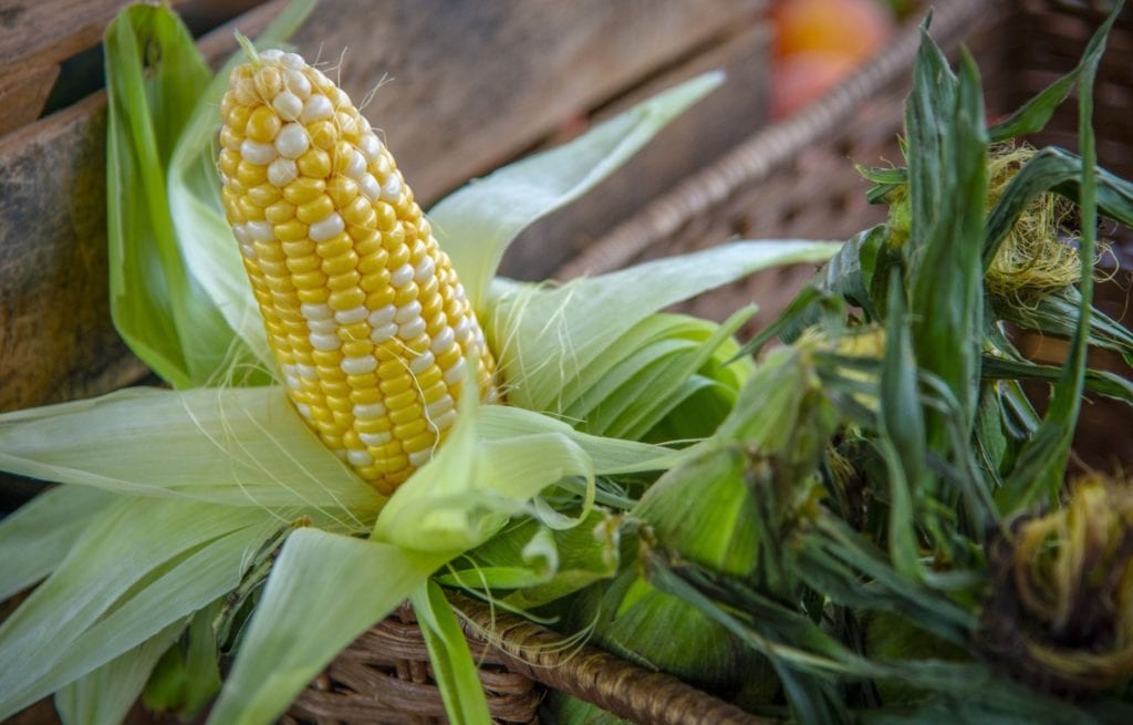 5 Top Staple Foods A Big Business All Around The World