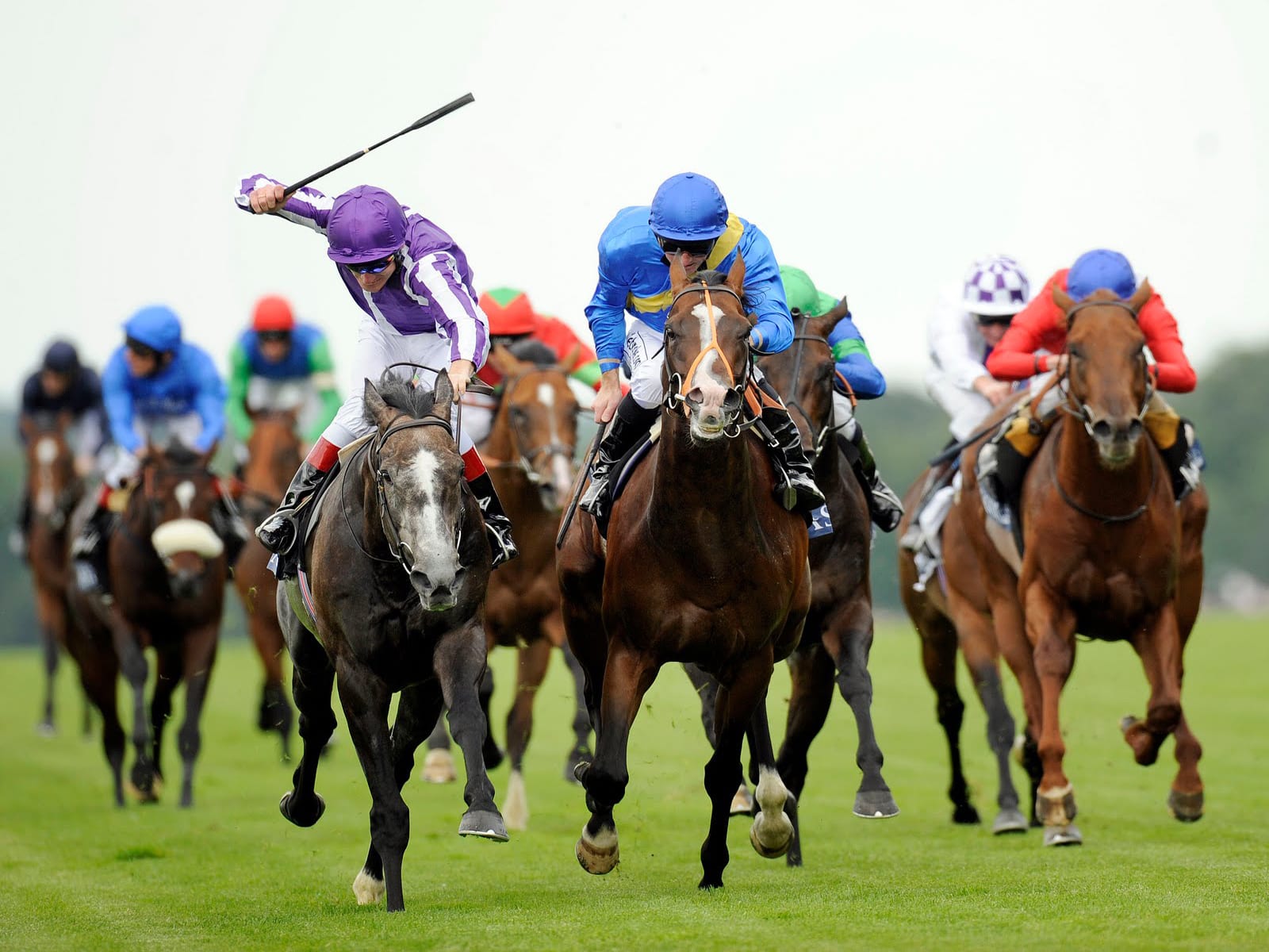 What Makes Horse Racing So Special?