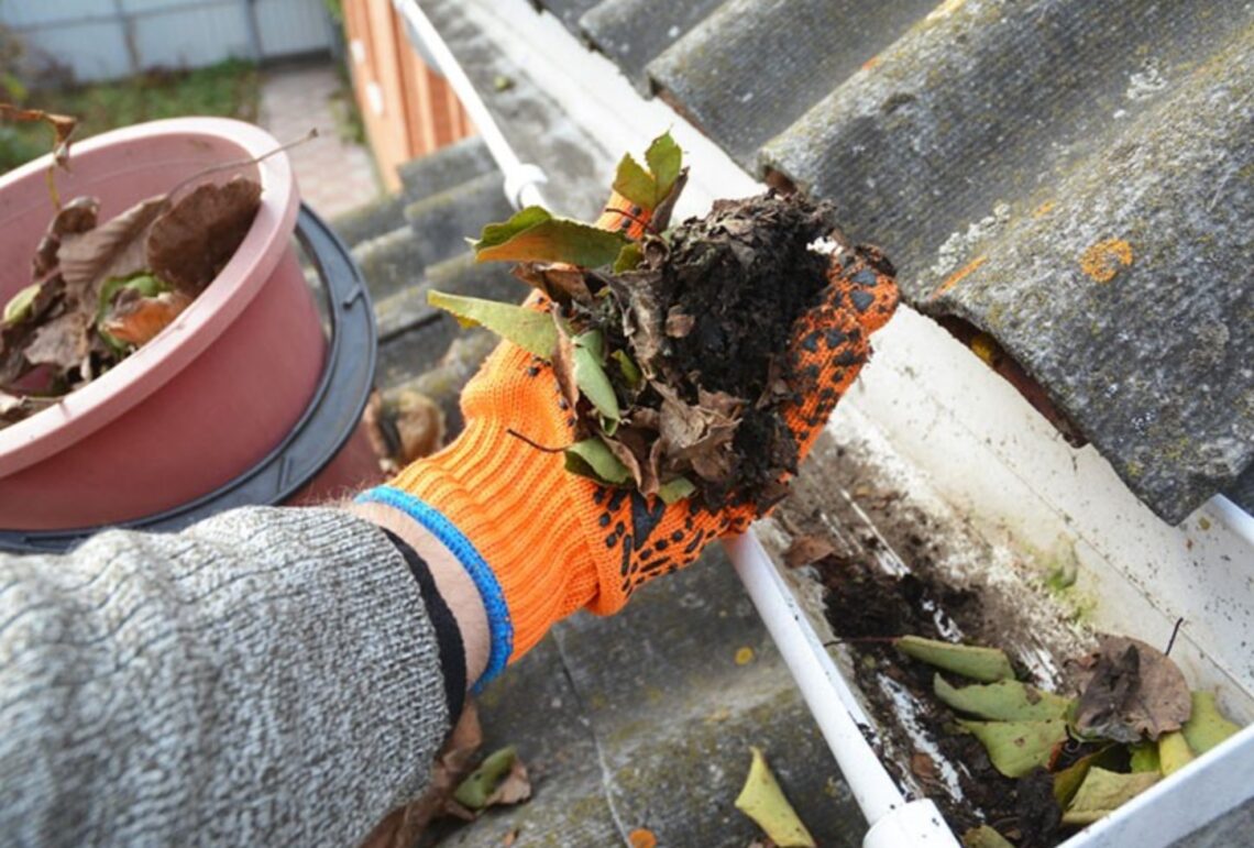 5 Tips And Tricks For Keeping Leaves Out Of Your Gutter