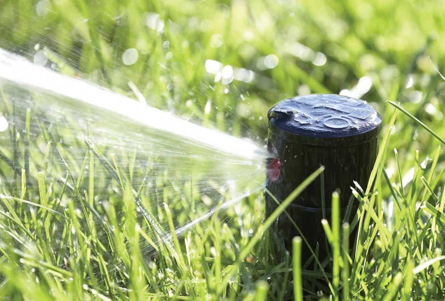 Why Irrigation Maintenance Is Vital in the Modern World
